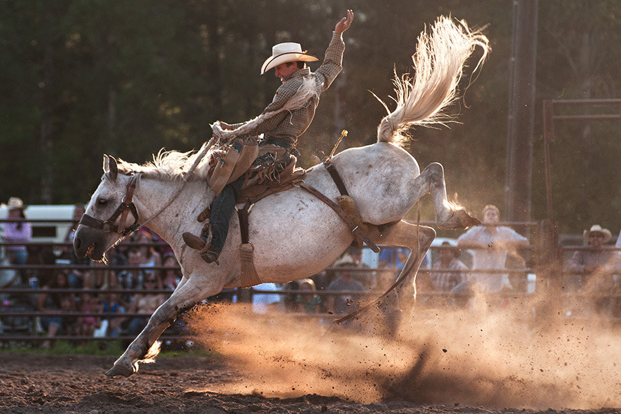 Photos: Northwest Montana Rodeo Season - Flathead Beacon