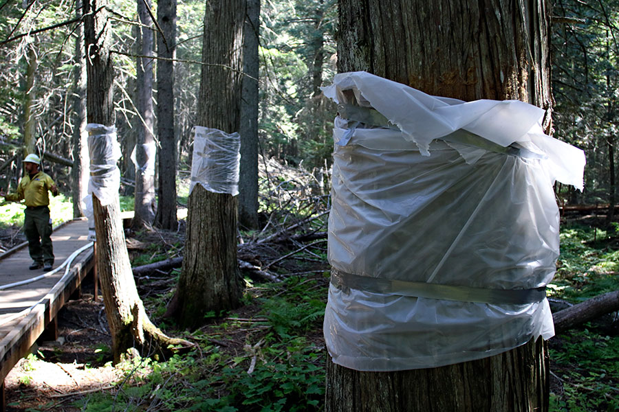 Photos: Howe Ridge Fire - Flathead Beacon