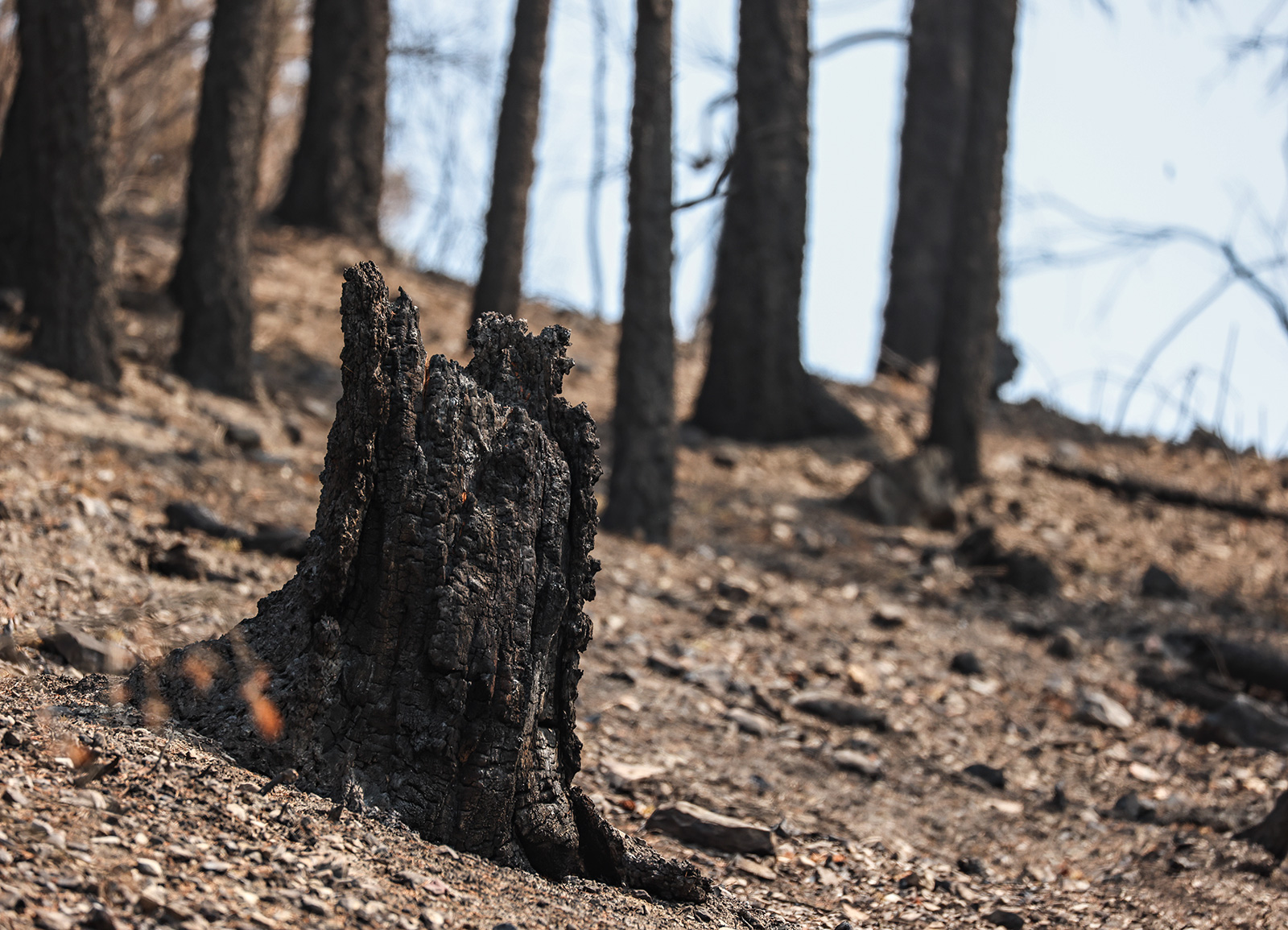 Boulder 2700 Fire Aftermath - Flathead Beacon