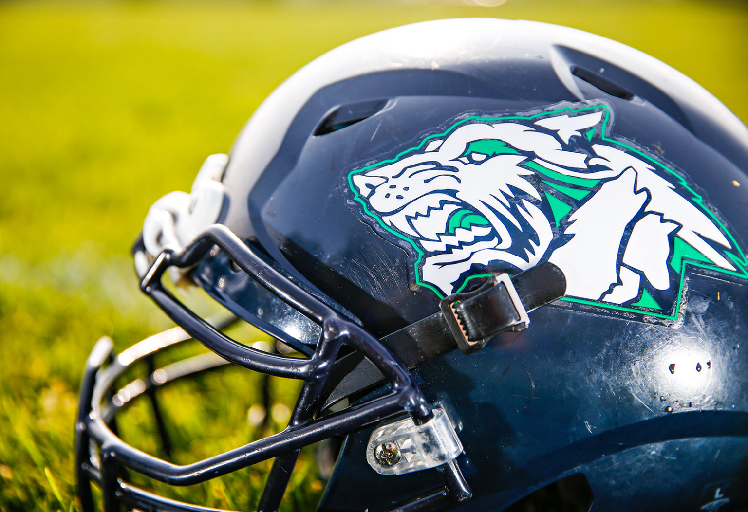 Flathead Beacon - News for Montana's Flathead Valley