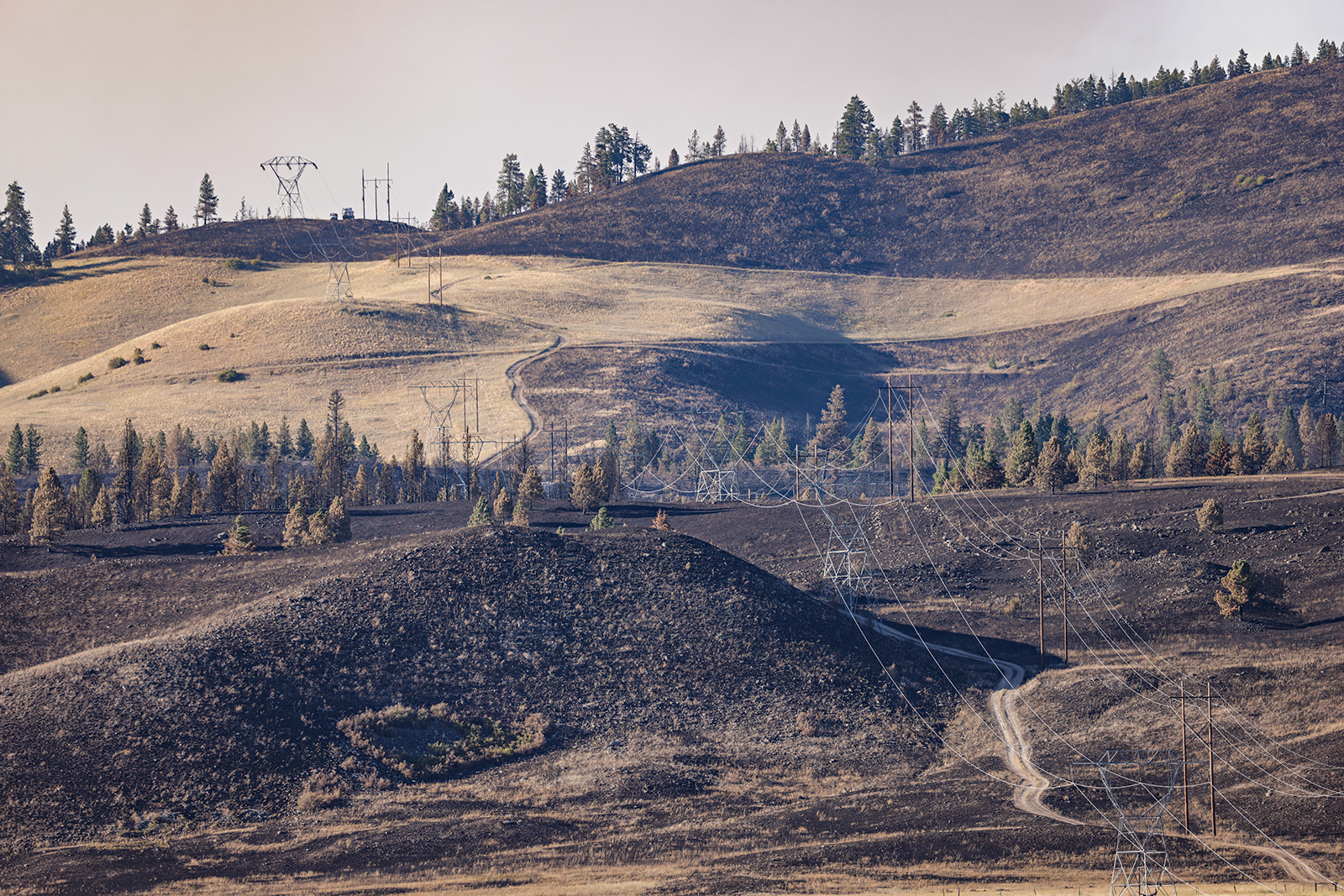 Elmo Fire - Flathead Beacon