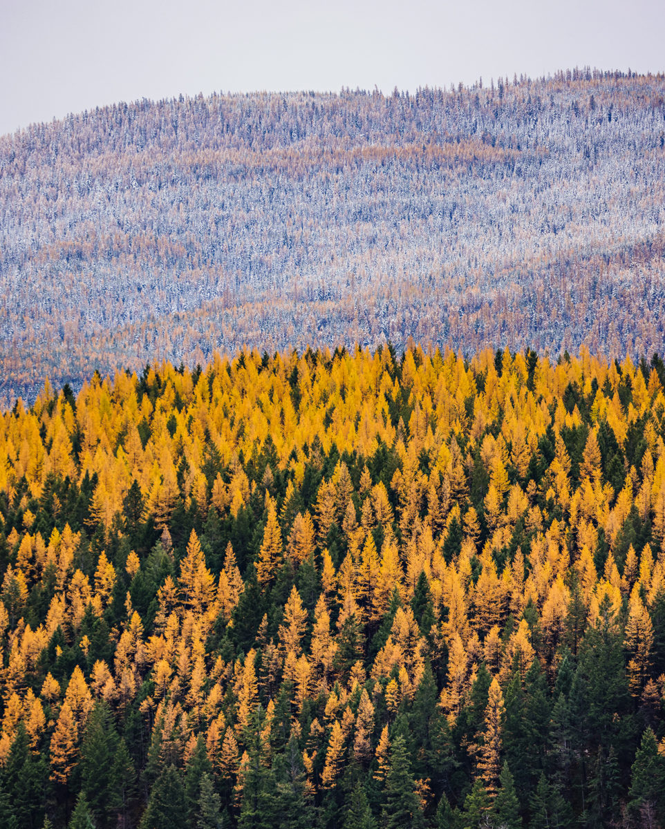 Fall Meets Winter - Flathead Beacon