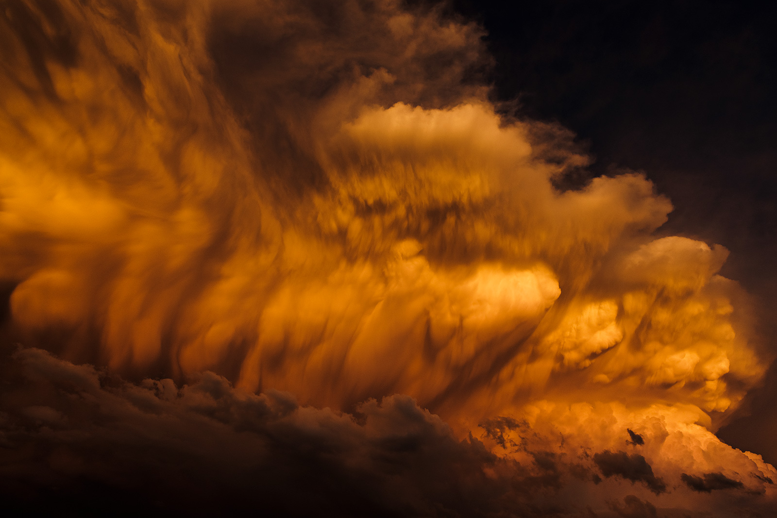 2022: Year in Photos - Flathead Beacon