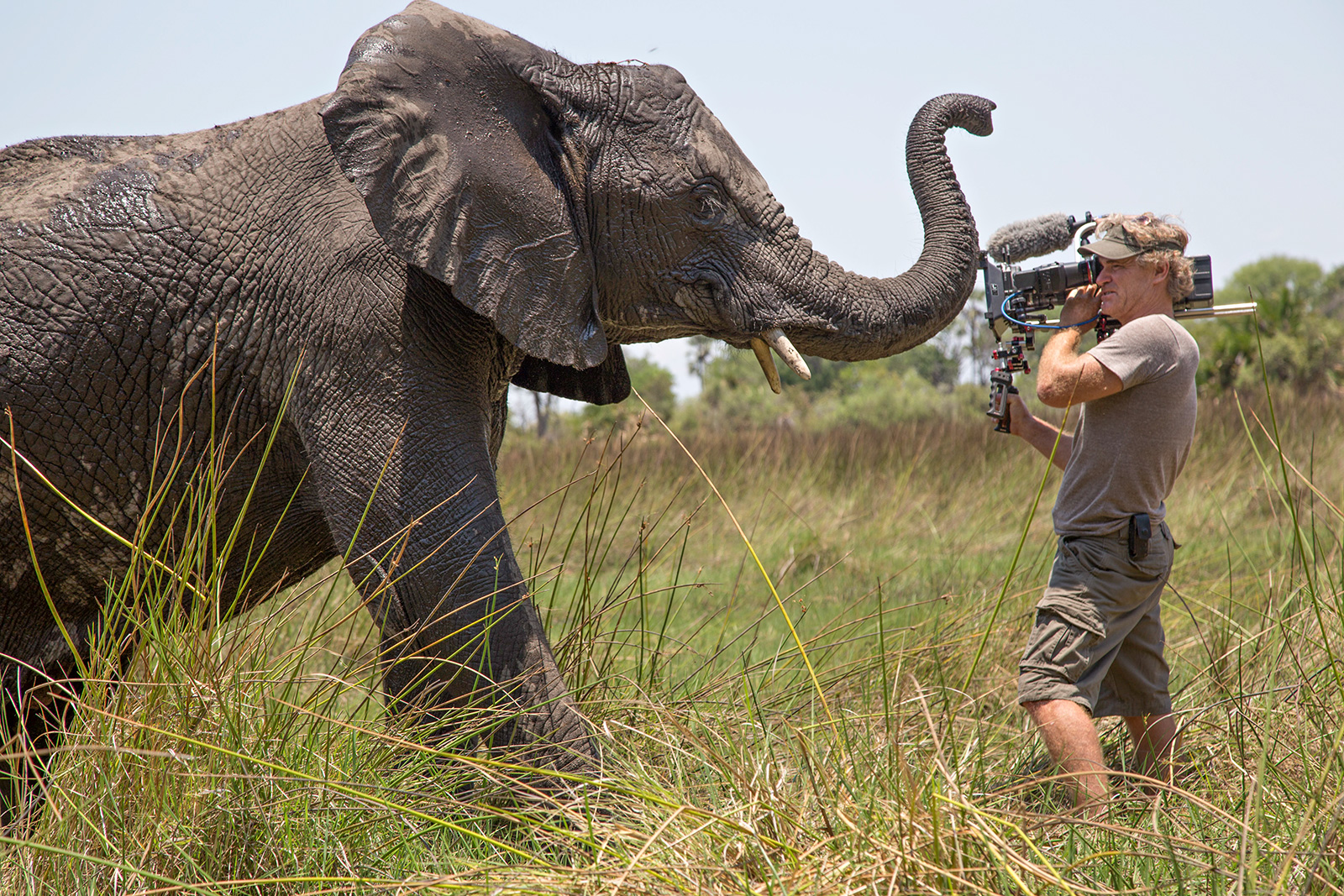 Bob Poole films an elephant. Photo by Gina Poole - Flathead Beacon