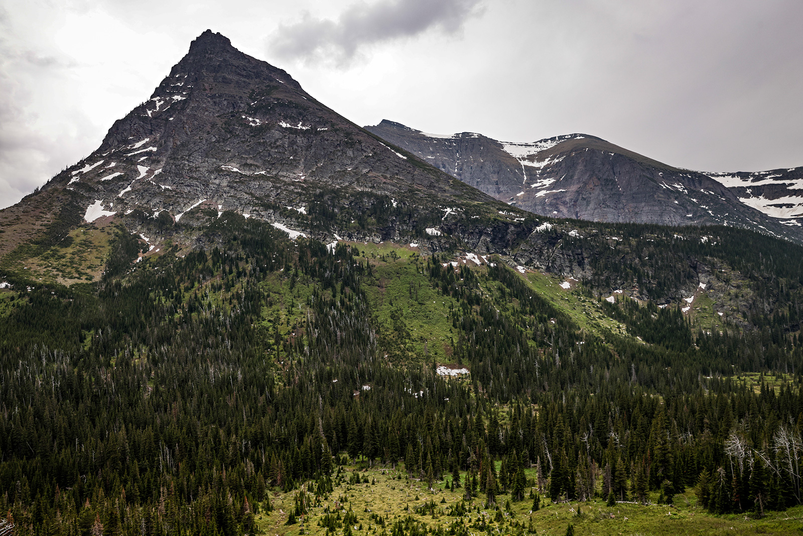 Spring in Cut Bank - Flathead Beacon