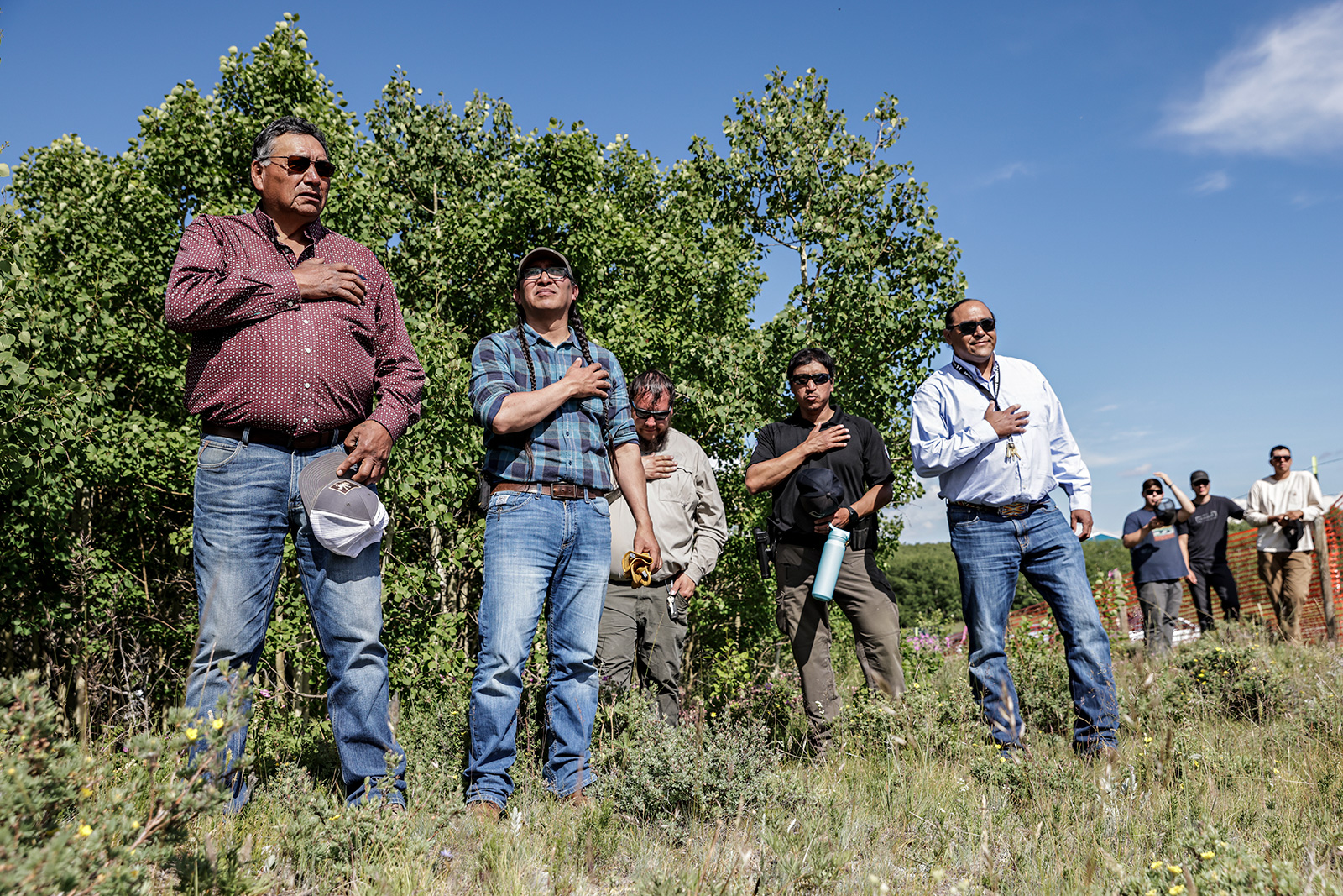 Return of the Bison - Flathead Beacon