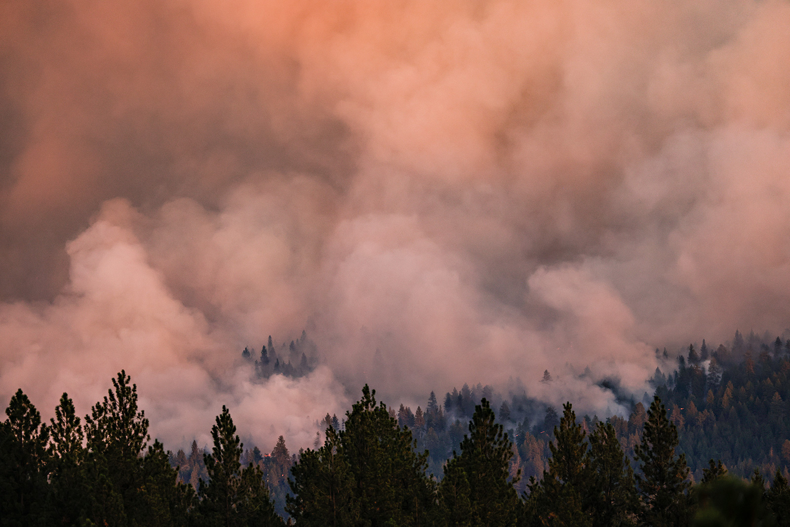 Niarada Fire - Flathead Beacon