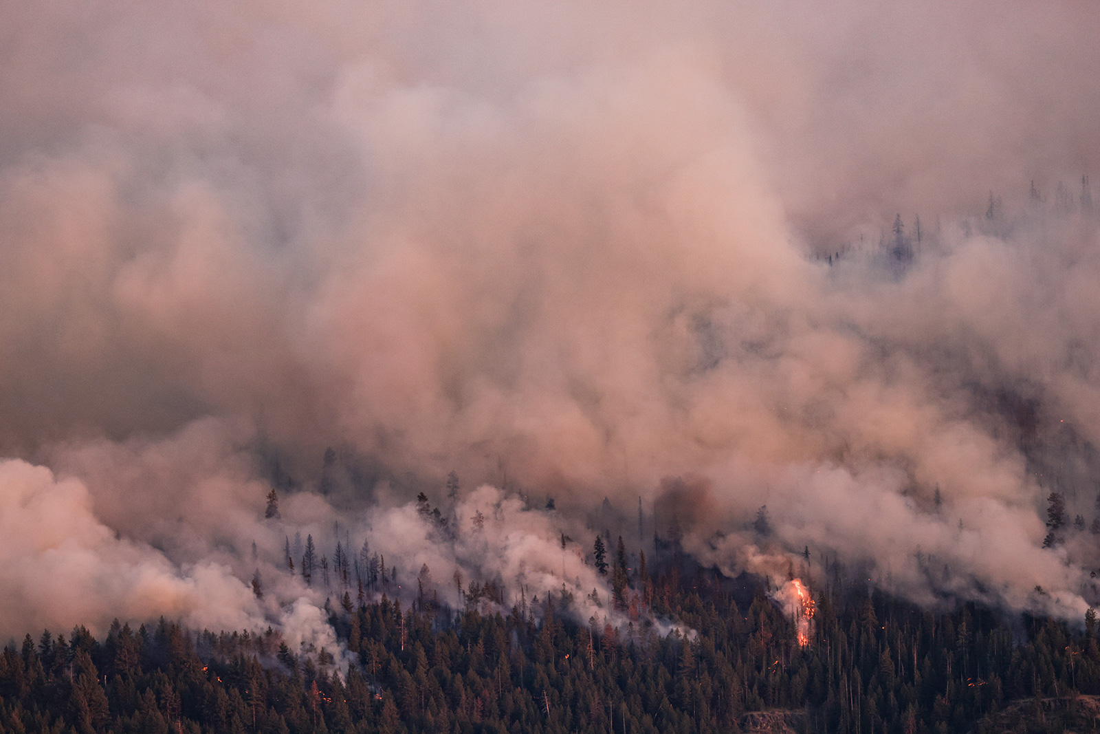 Niarada Fire - Flathead Beacon