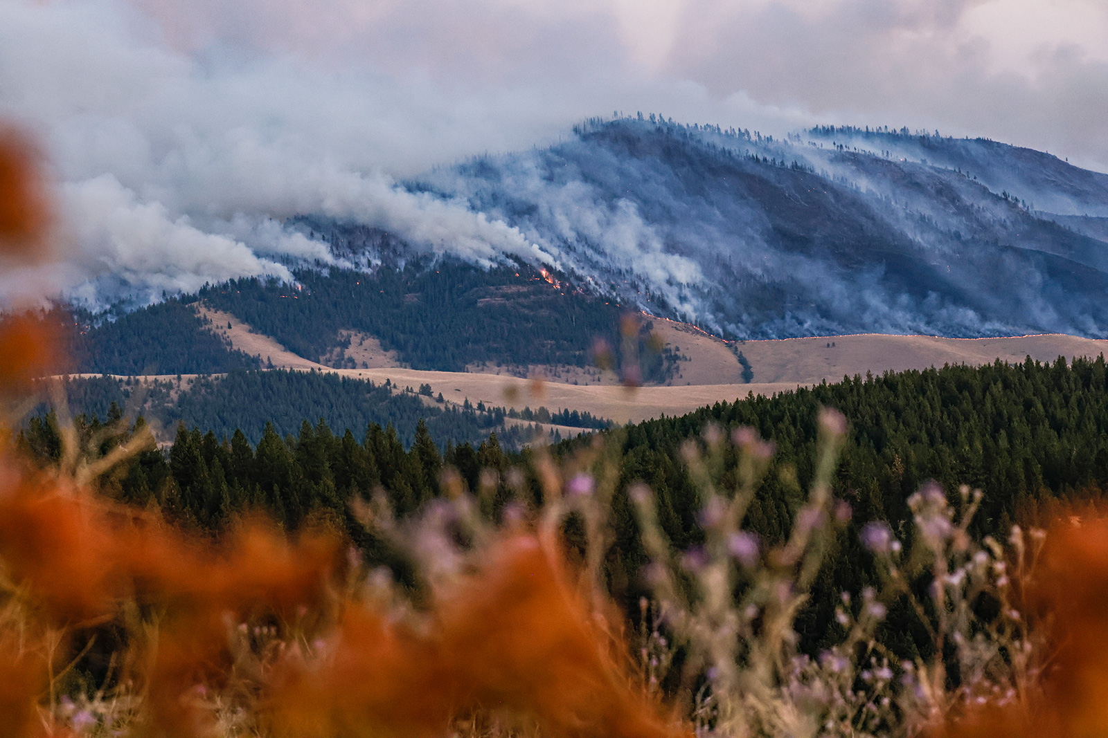 Niarada Fire - Flathead Beacon