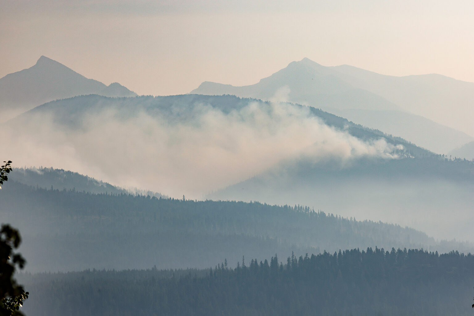 Flathead National Forest Proposes Logging Project West of Hungry Horse Reservoir - Flathead Beacon