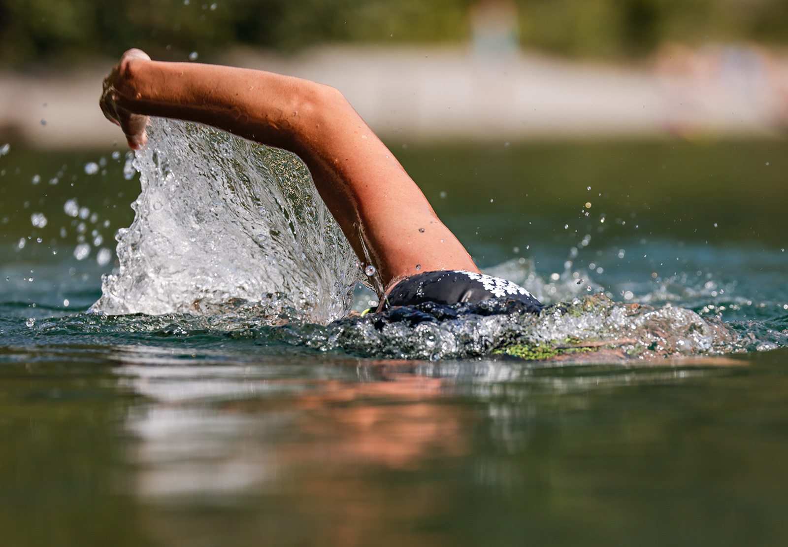 Swimming Into the Unknown - Flathead Beacon