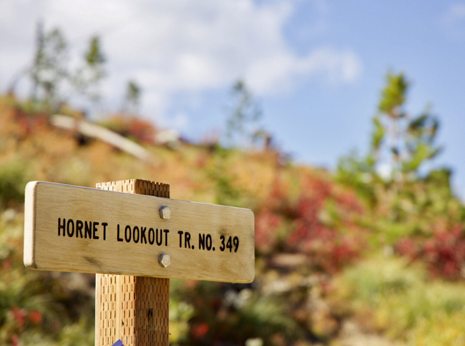 One Hundred Years of Hornet - Flathead Beacon