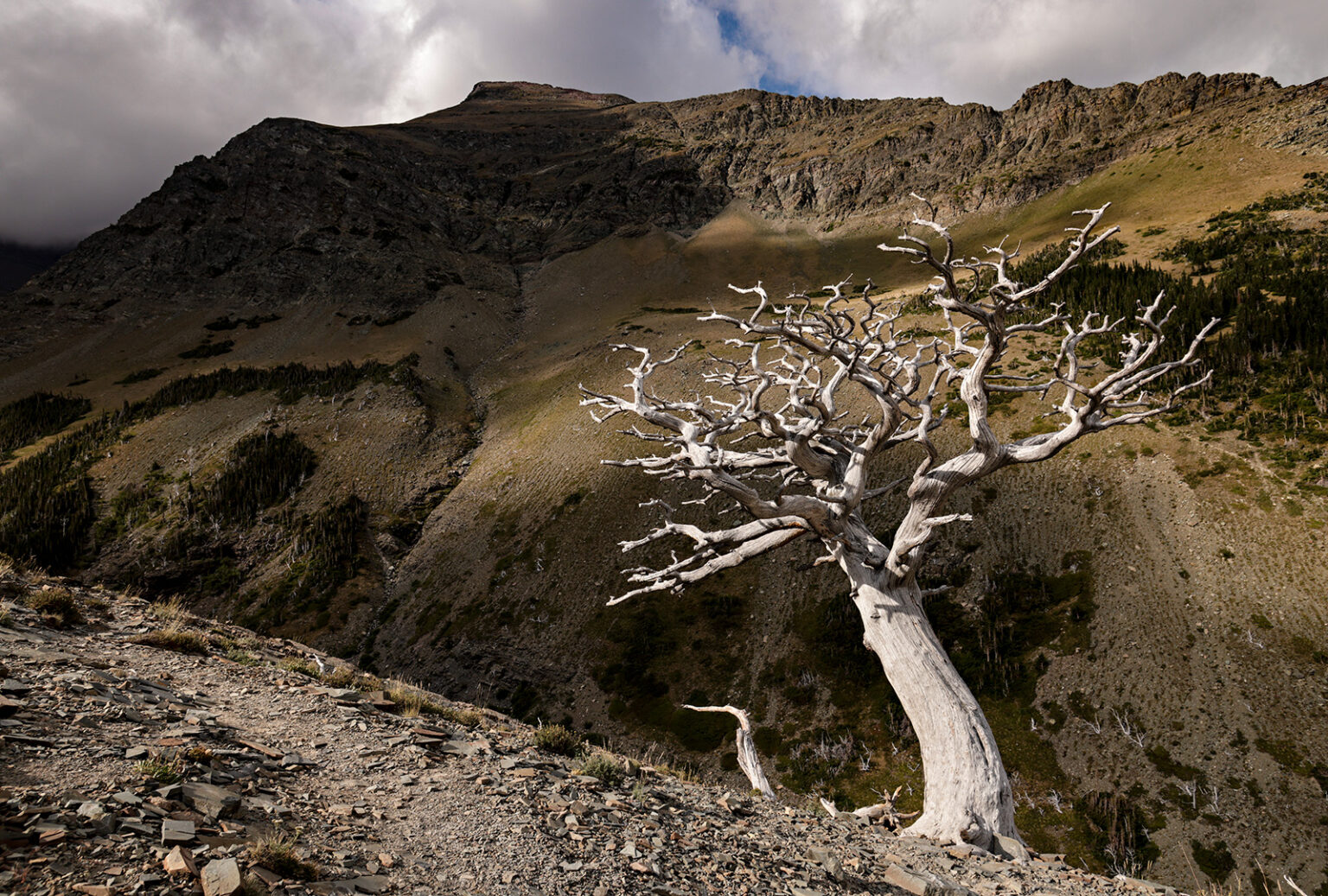CSKT Climate Change StoryMap Wins Award for Excellence in Traditional ...