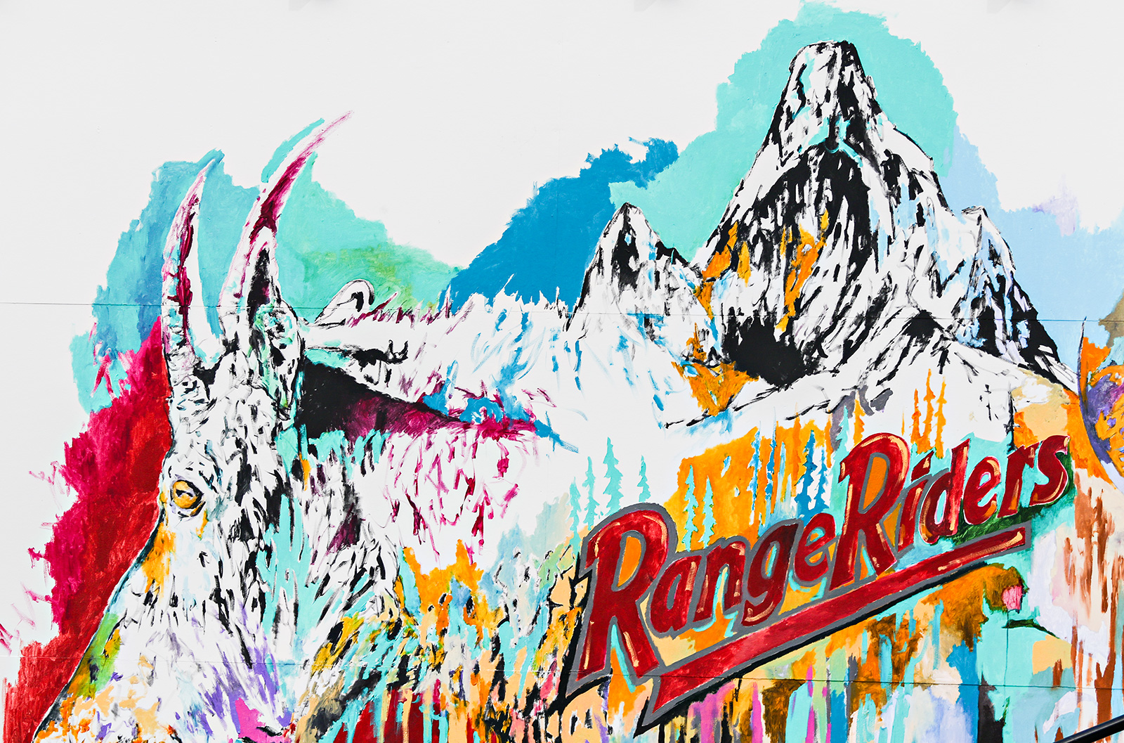 Range Riders Home Season Finale Draws Record Crowd - Flathead Beacon