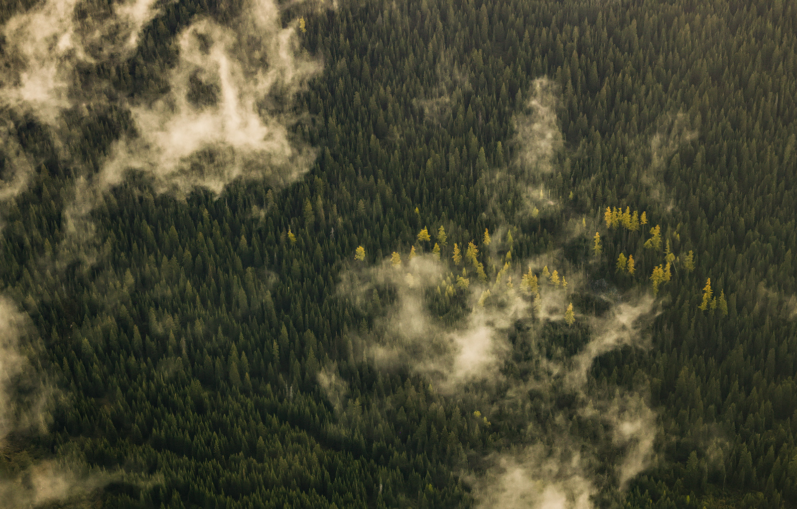 Over the Yaak - Flathead Beacon