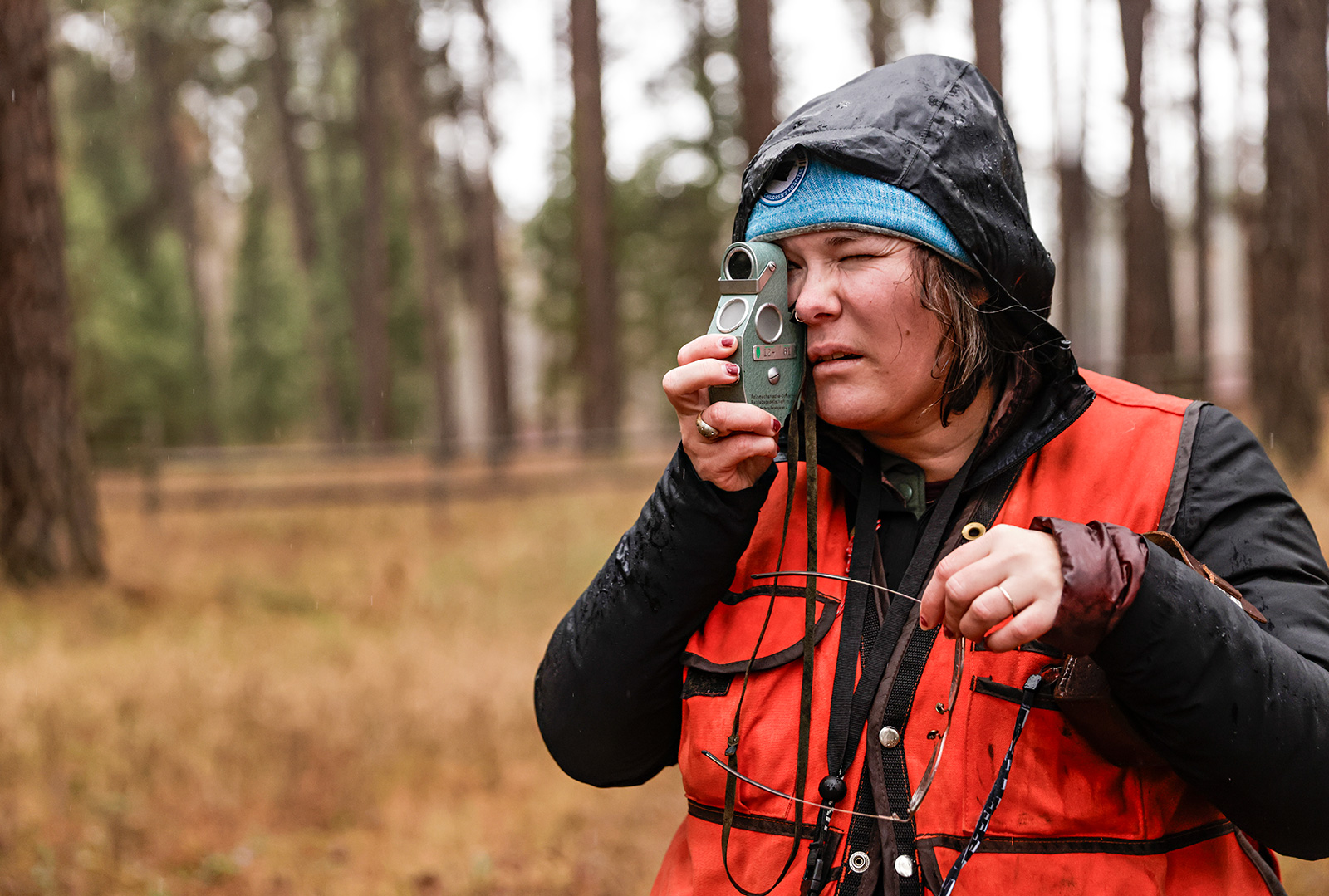 FVCC Students Engage Citizen Scientists to Collect Data on Ponderosa ...