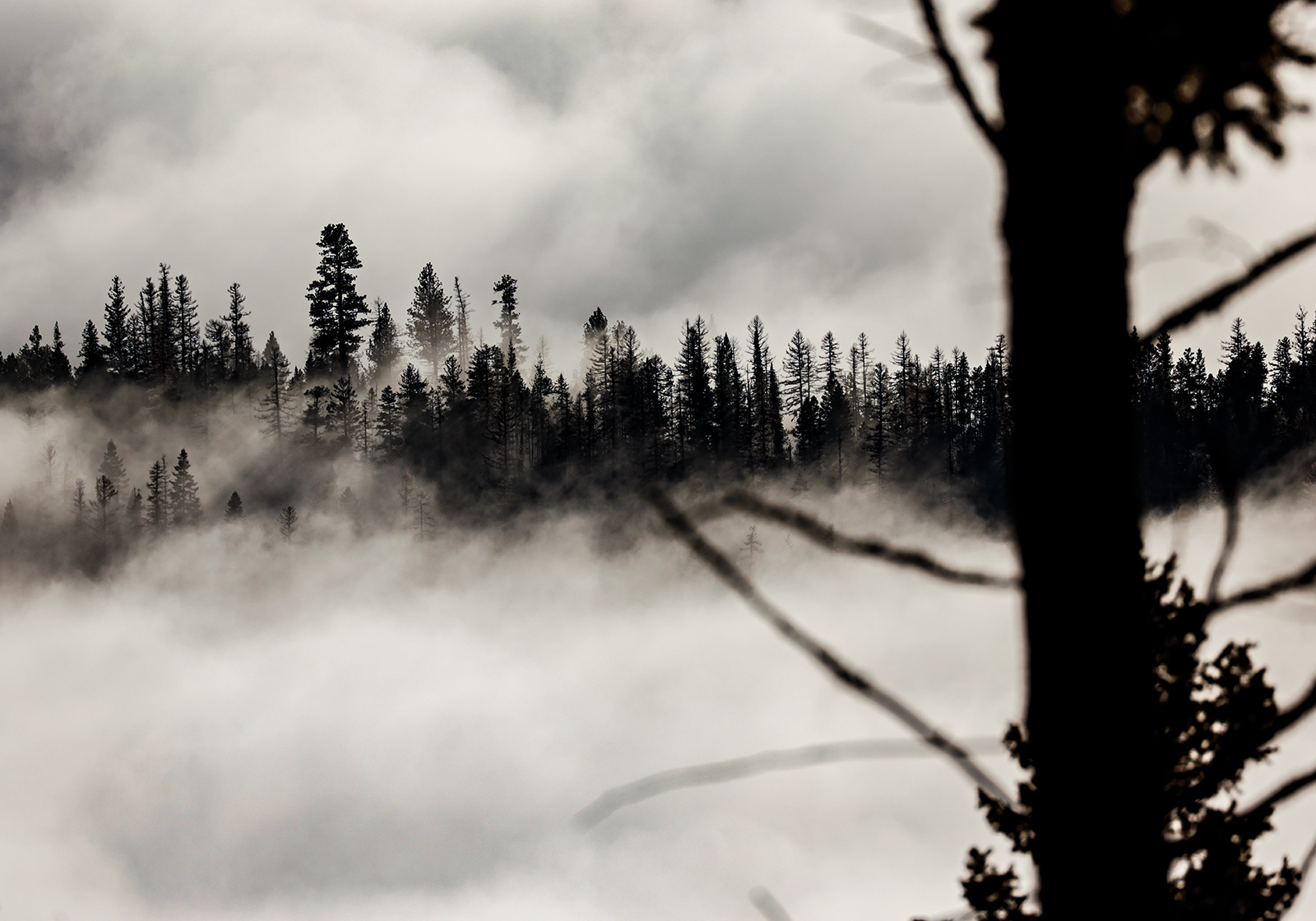 Inversion - Flathead Beacon