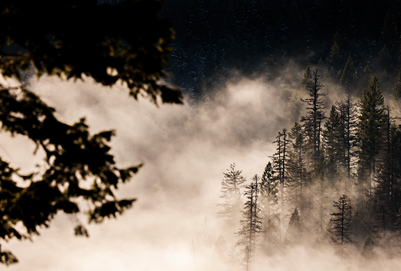 Inversion - Flathead Beacon