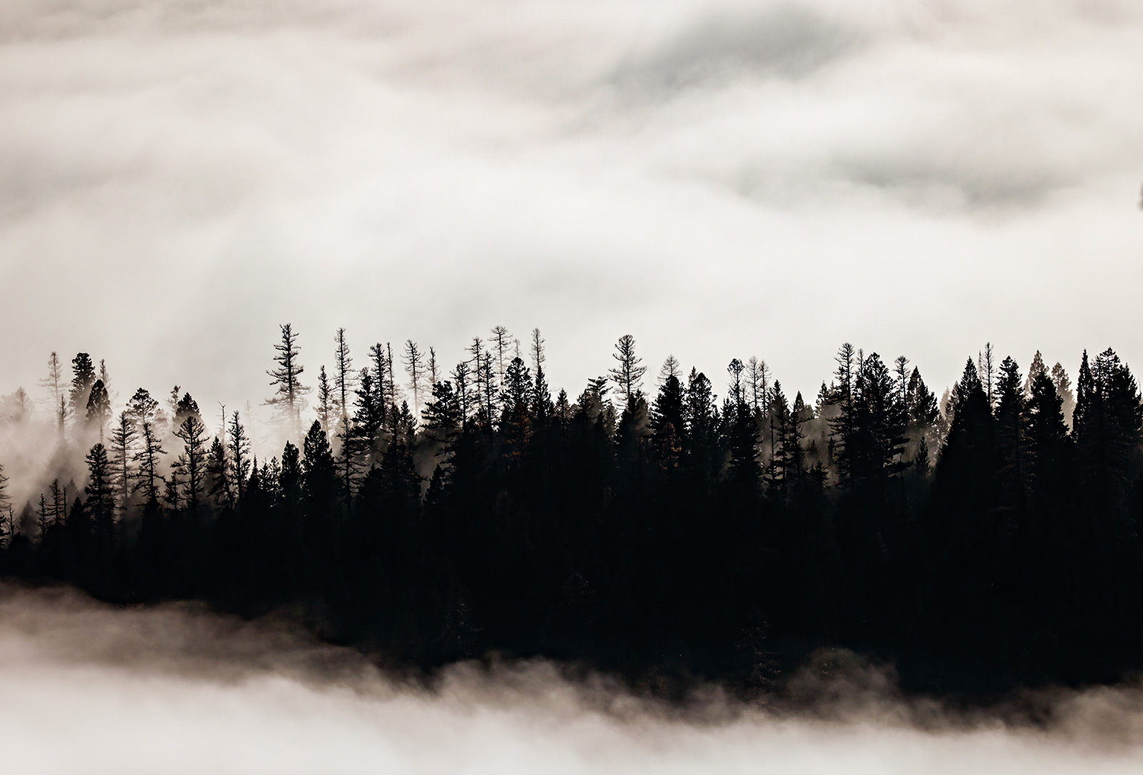 Inversion - Flathead Beacon