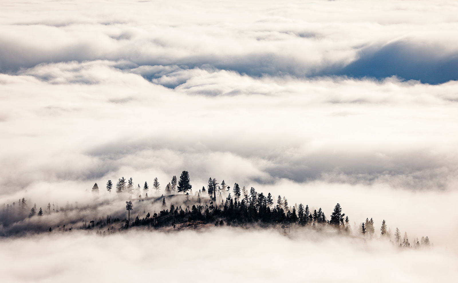 Inversion - Flathead Beacon