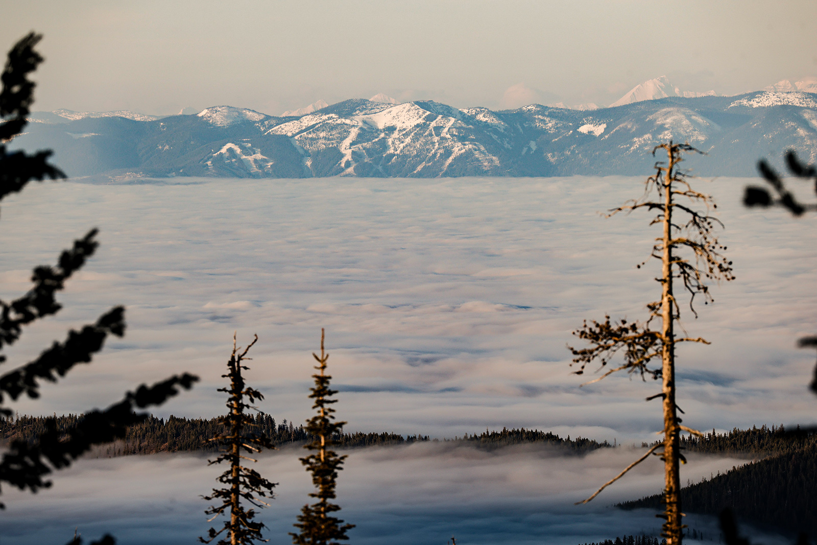 Inversion - Flathead Beacon