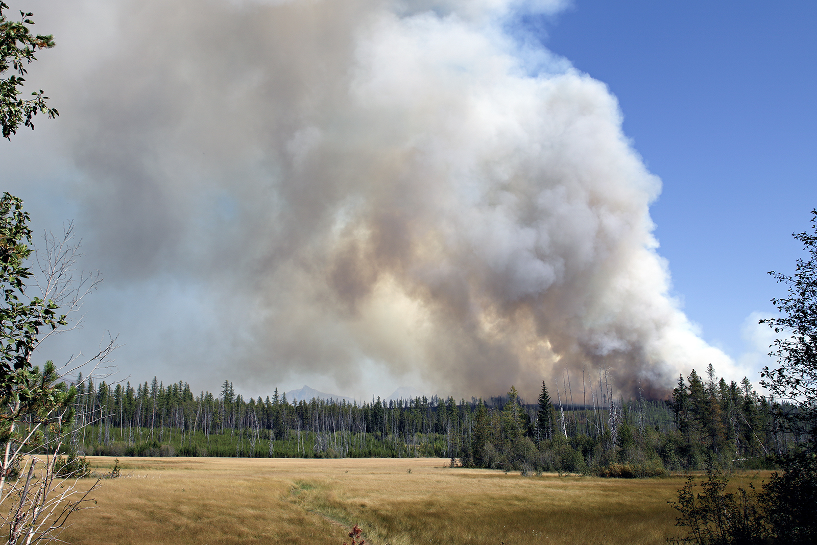 Glacier National Park Proposes Updates to 20-year-old Fire Management ...