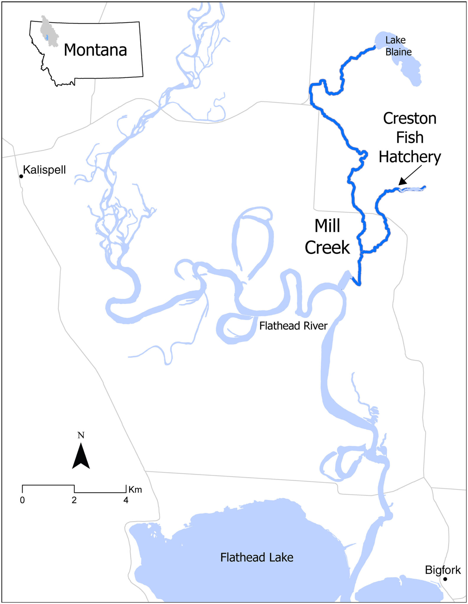 Escaped Hatchery Trout Pose Hybridization Risk to Native Species in ...