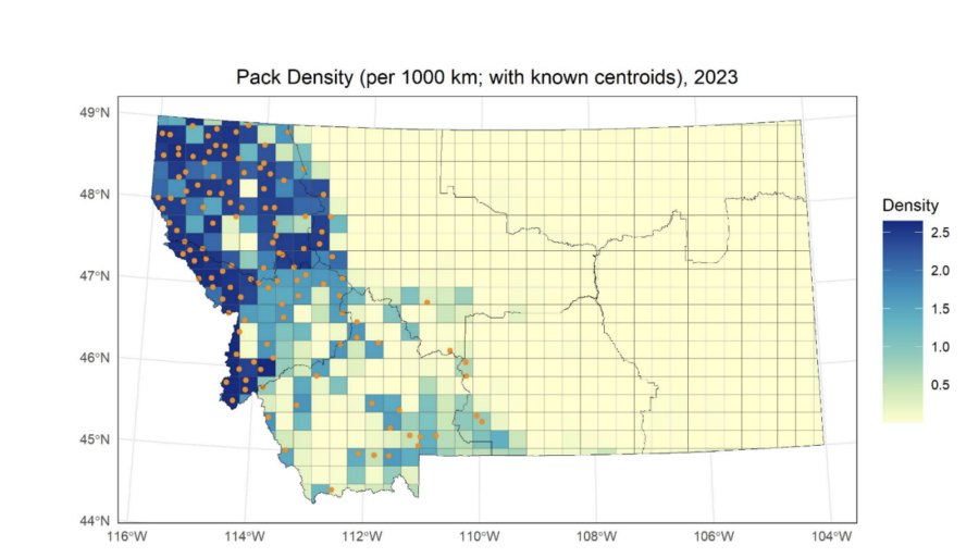 Montana Wolf Population Strong Despite Increased Harvest Limits ...