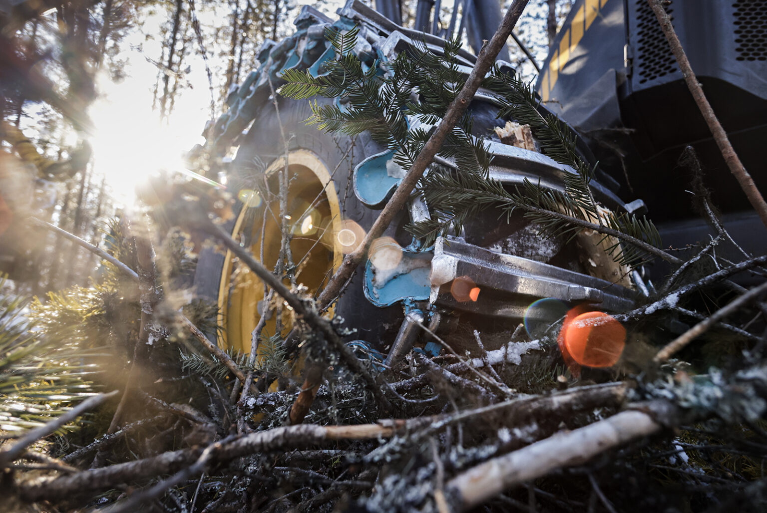 Our Favorite Photography of 2025 - Flathead Beacon