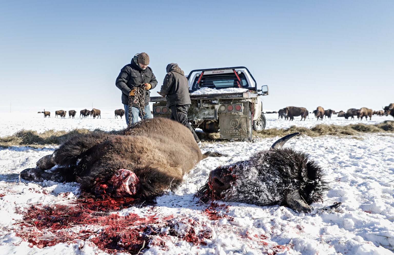 Our Favorite Photography of 2025 - Flathead Beacon