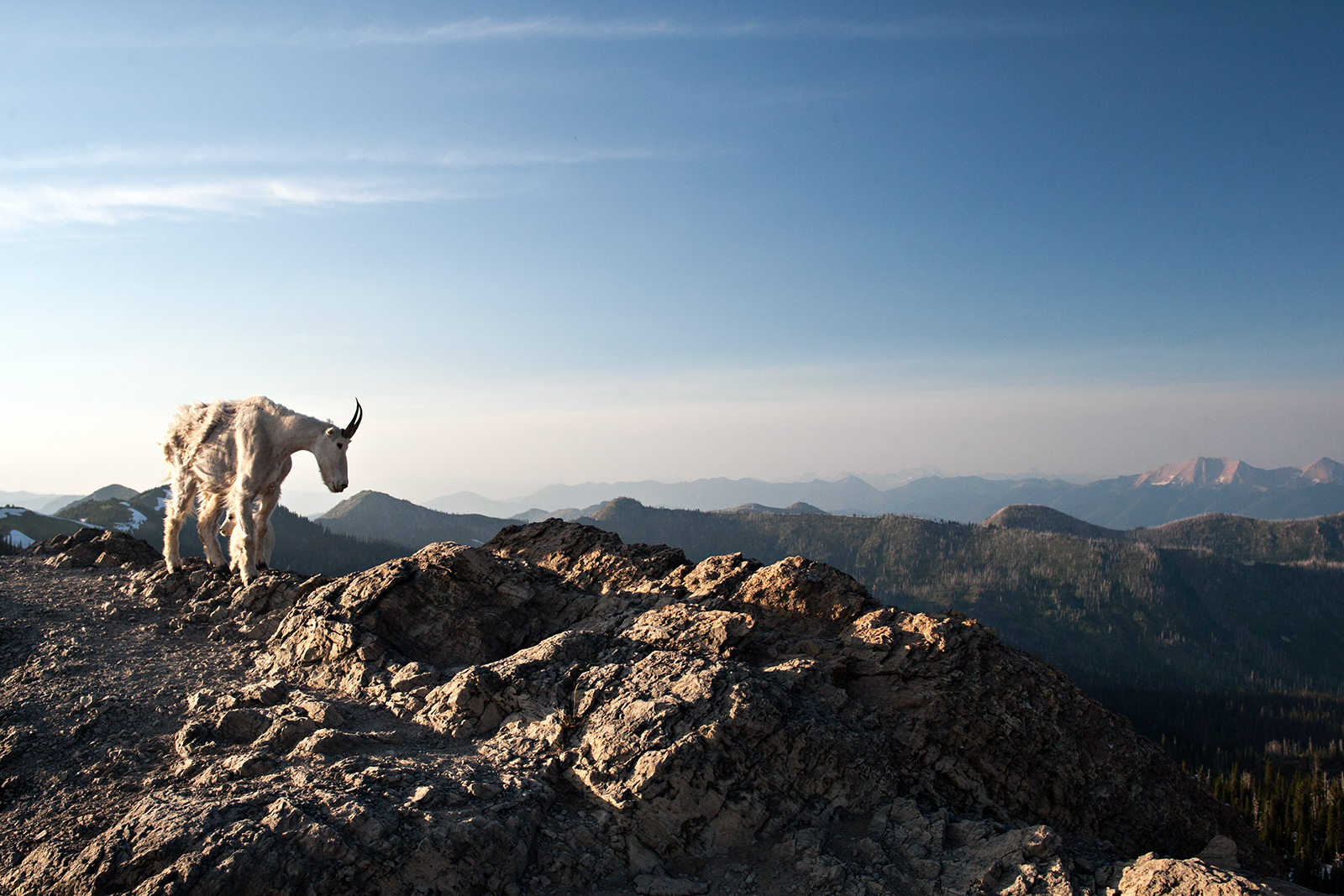 The Best Hikes Outside of Glacier - Flathead Beacon