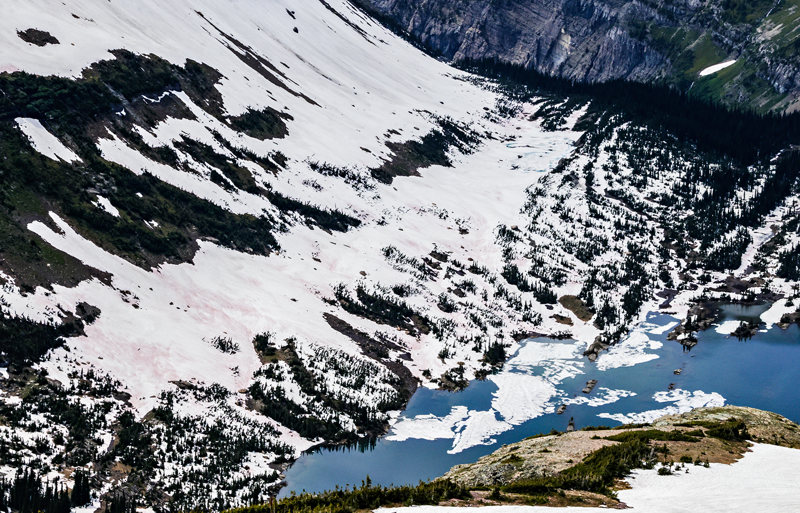 Logan Pass 2025 - Flathead Beacon