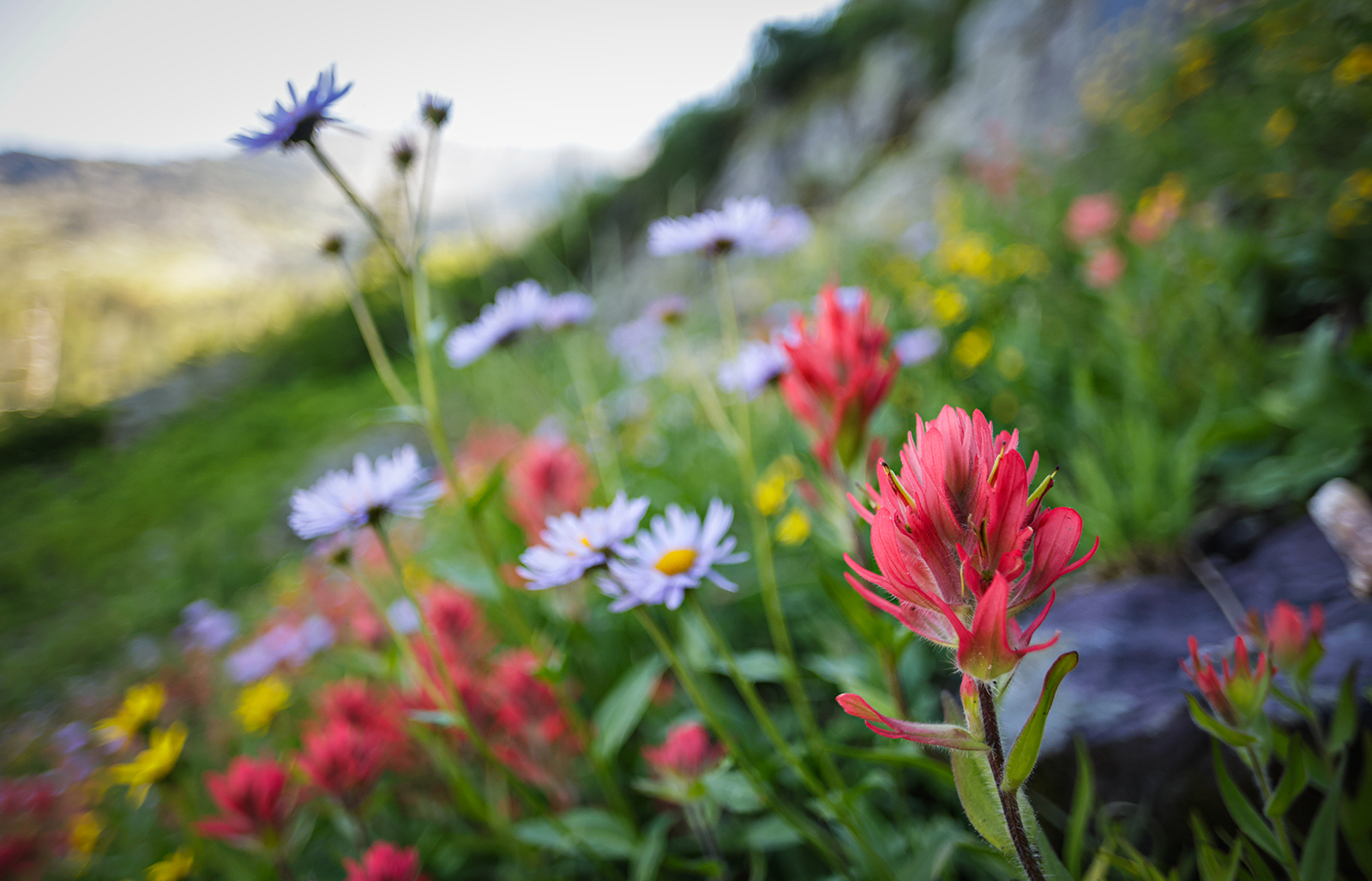 Somewhere Over the Rainbow (Peak) - Flathead Beacon