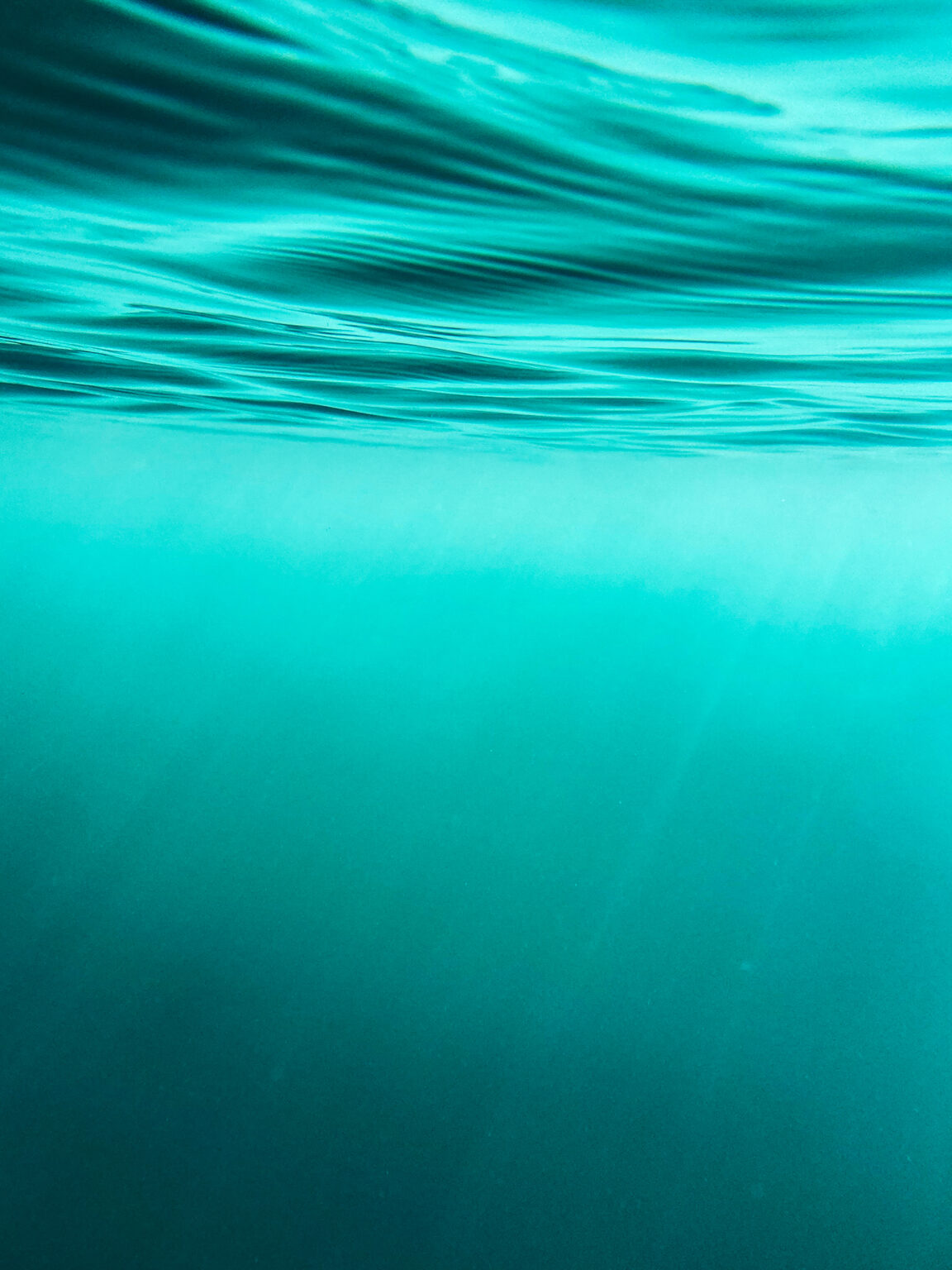 Somewhere Over the Rainbow (Peak) - Flathead Beacon