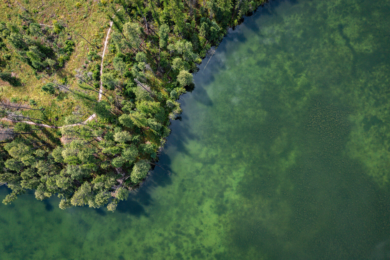The Costly Quest to Save Smith Lake - Flathead Beacon