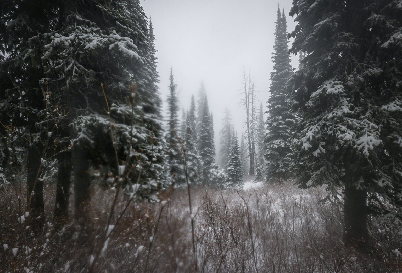 First Wave of Winter - Flathead Beacon