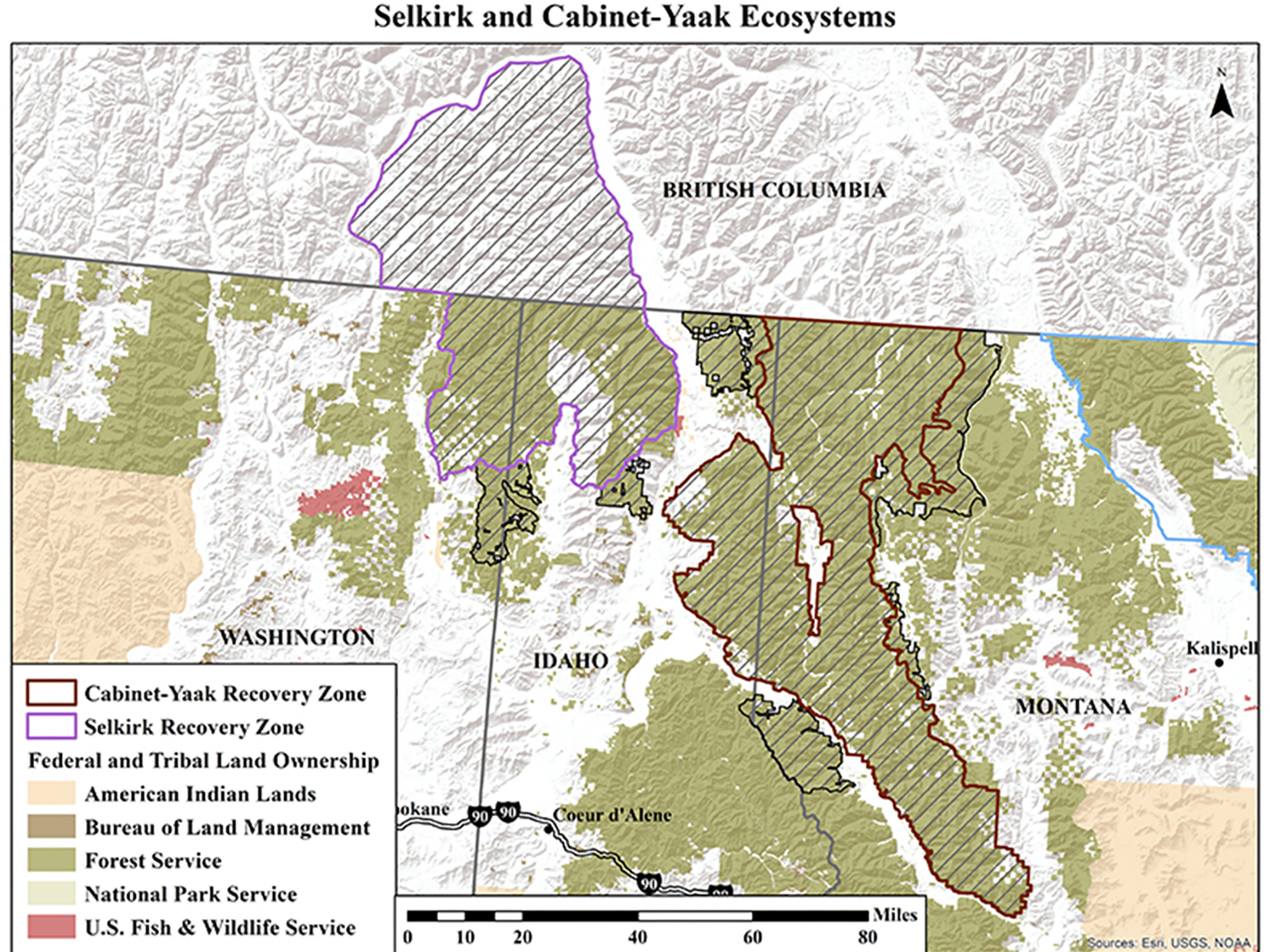 The Daily Roundup: Game Wardens, Wildlife Advocates Offer $15,000 ...