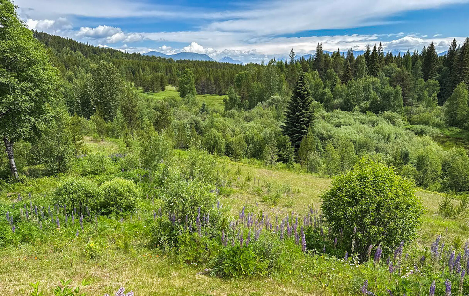 Conservation Easement Protects 105 Acres Near Glacier National Park ...