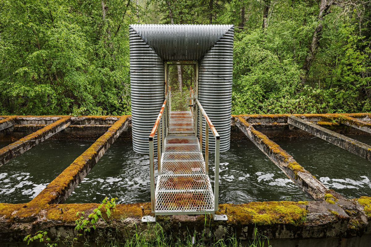 PacifiCorp to Power Down Bigfork Dam Unless Buyer Steps Forward ...